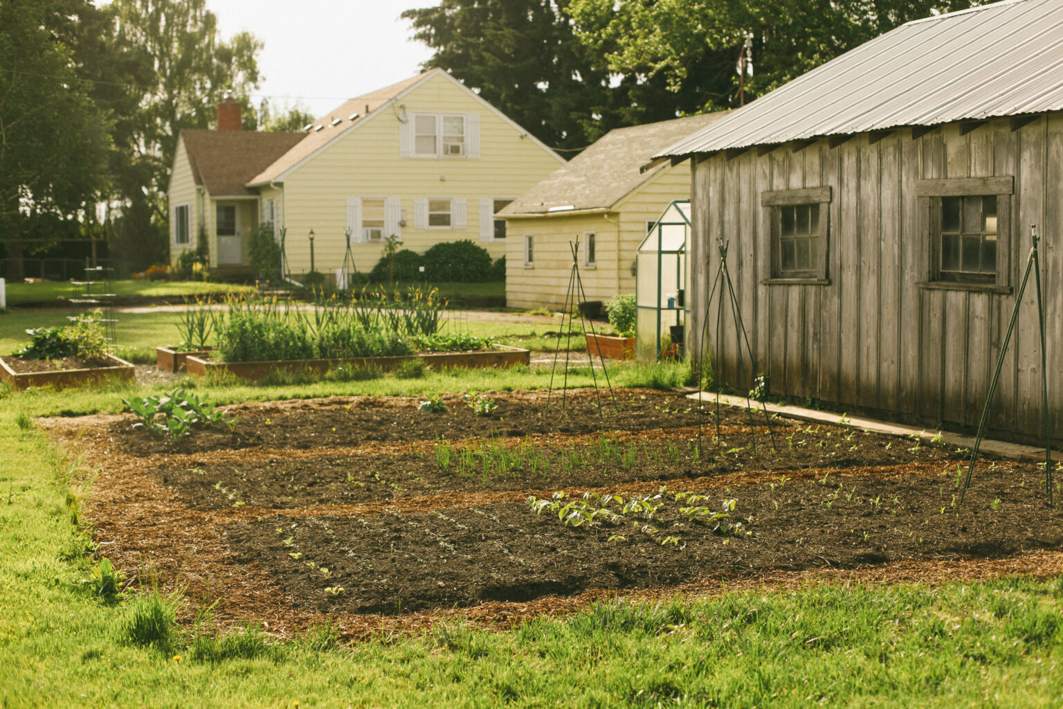 How to plan a beautiful, bountiful garden - Potager Online