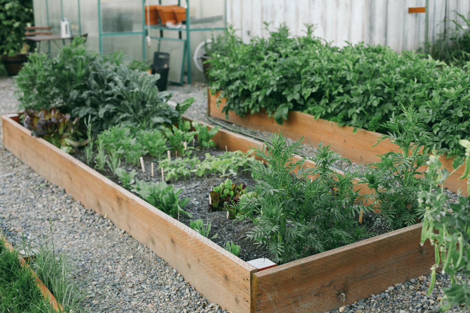 How to plan a beautiful, bountiful garden - Potager Online