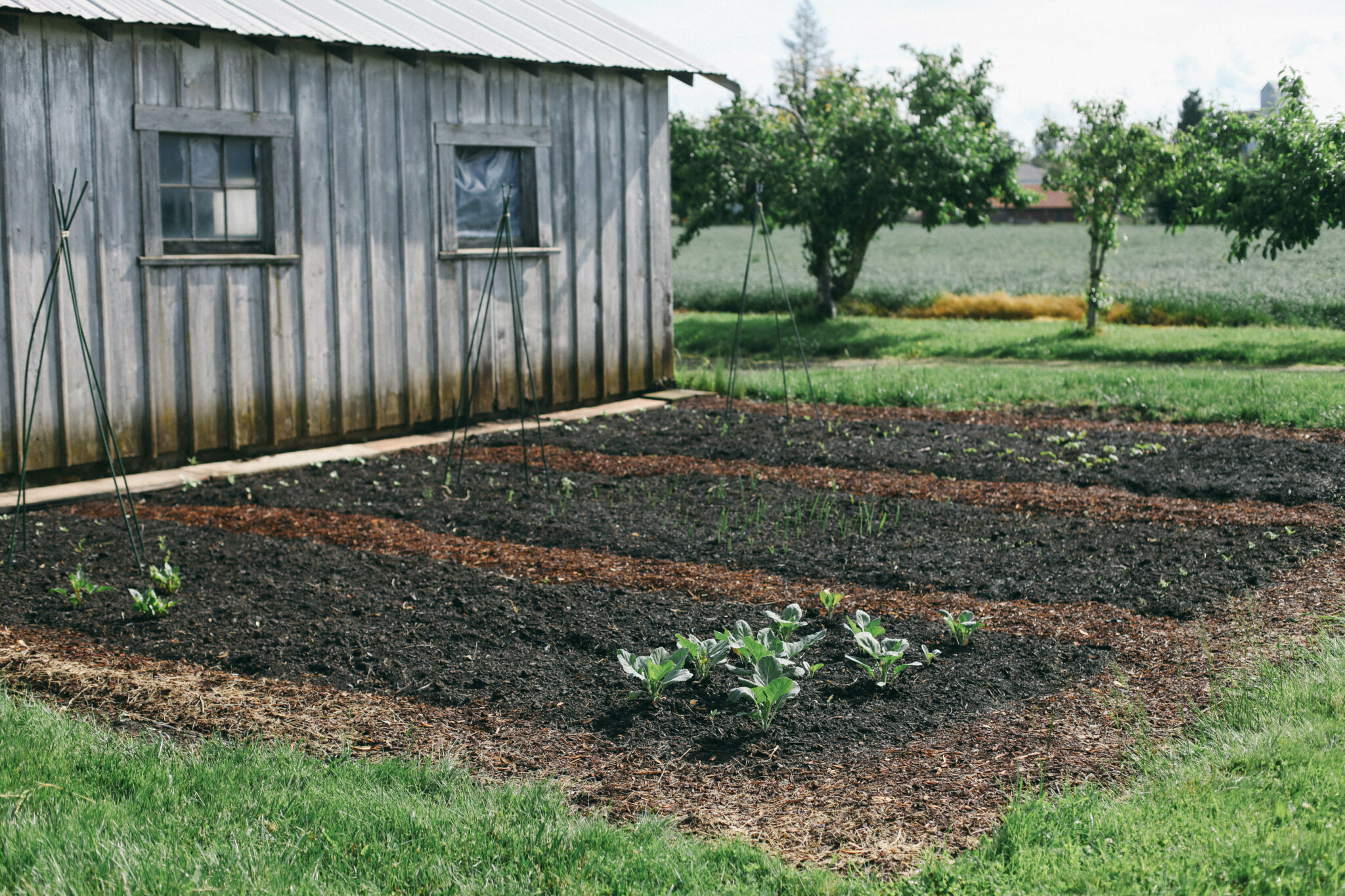 How to plan a beautiful, bountiful garden - Potager Online