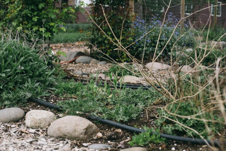 Dealing with pesky weeds in the garden - Potager Online