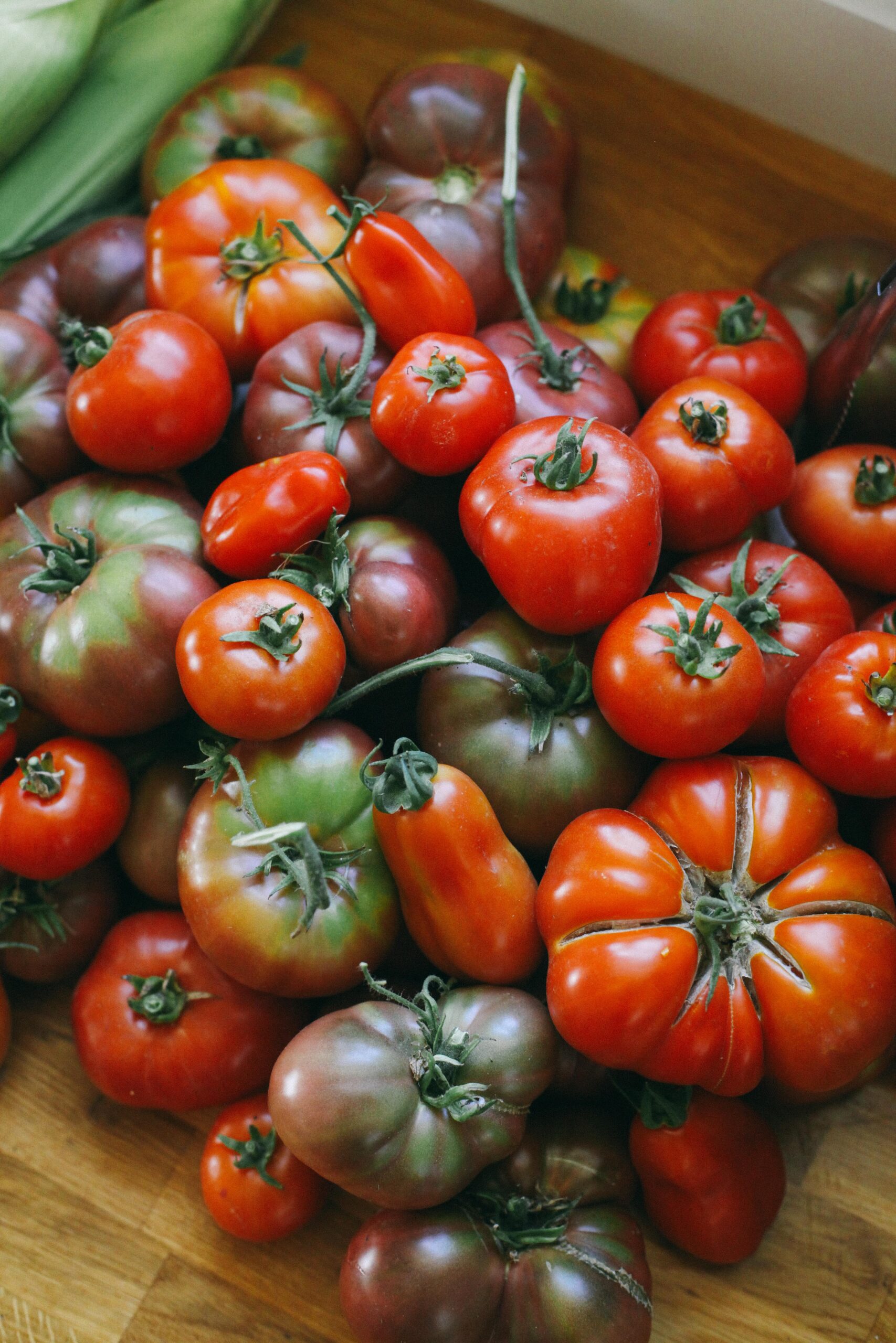 Choosing the best tomatoes for your garden - Potager Online