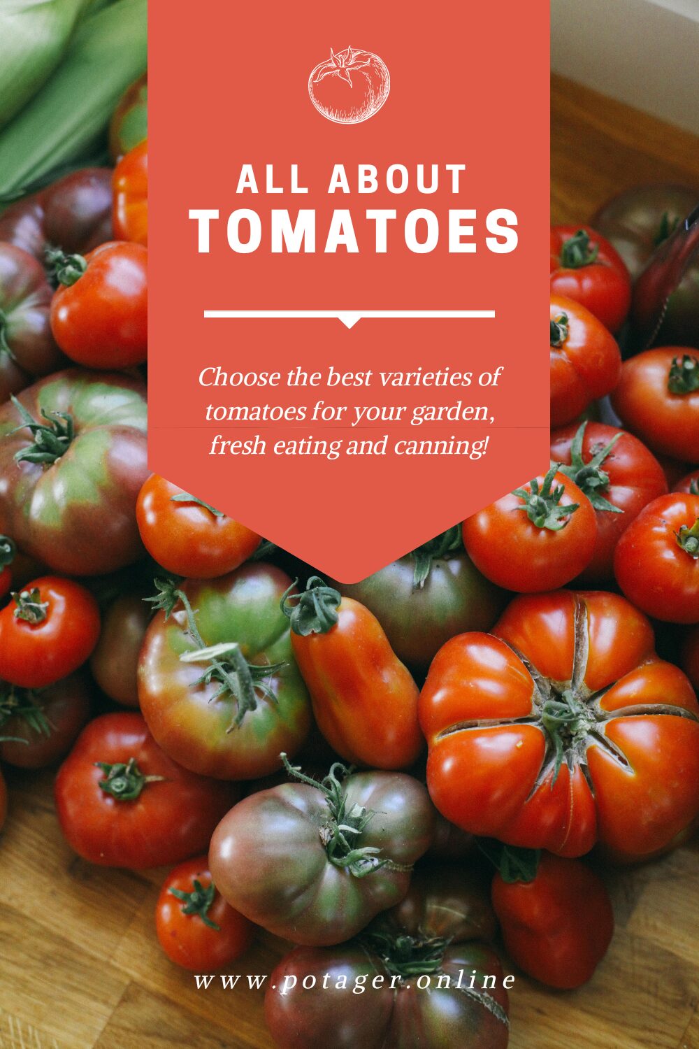 Choosing the best tomatoes for your garden - Potager Online