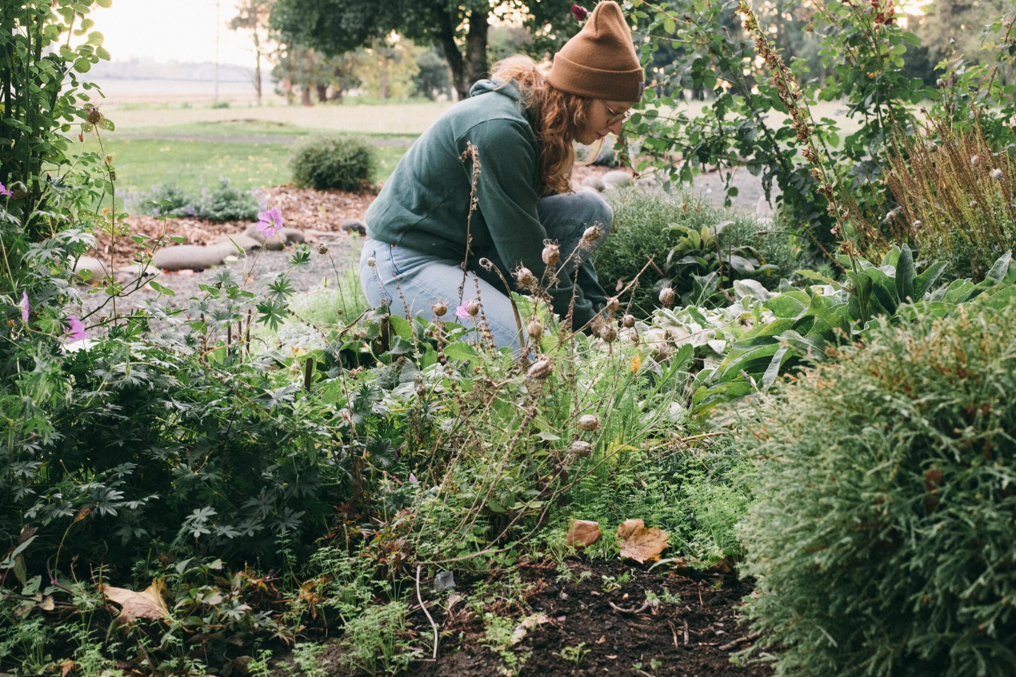 How to plan a beautiful, bountiful garden - Potager Online