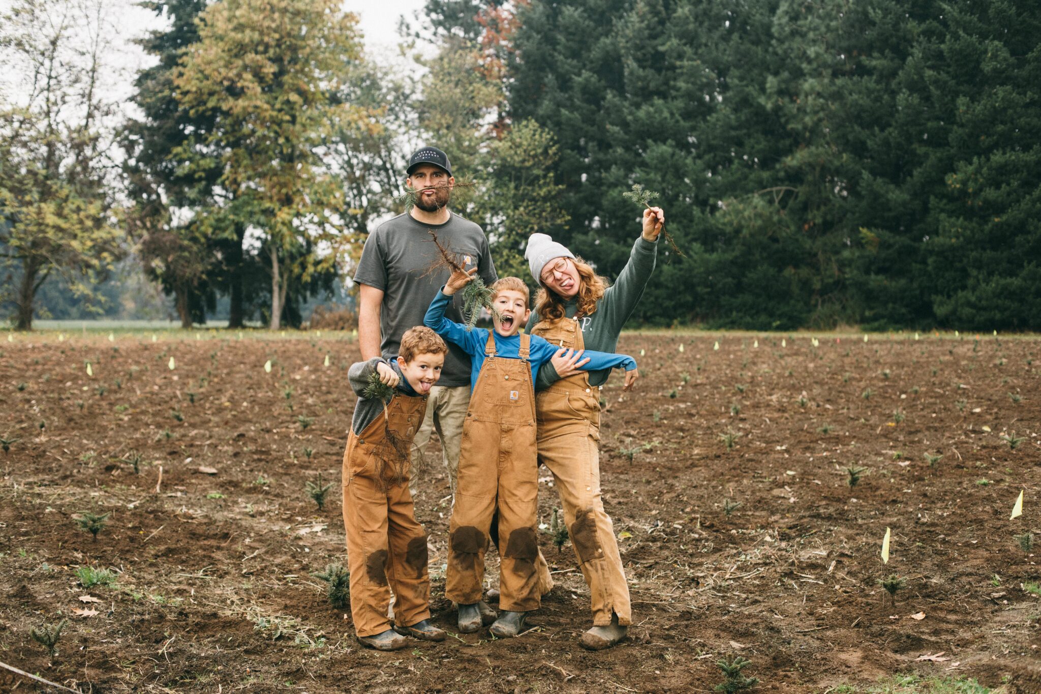 What we’ve accomplished in 4 years on our property - Potager Online